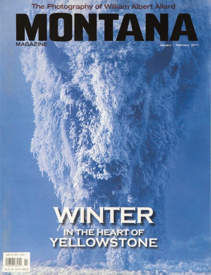 Keeping an Eye on Yellowstone – Tom Murphy Photography