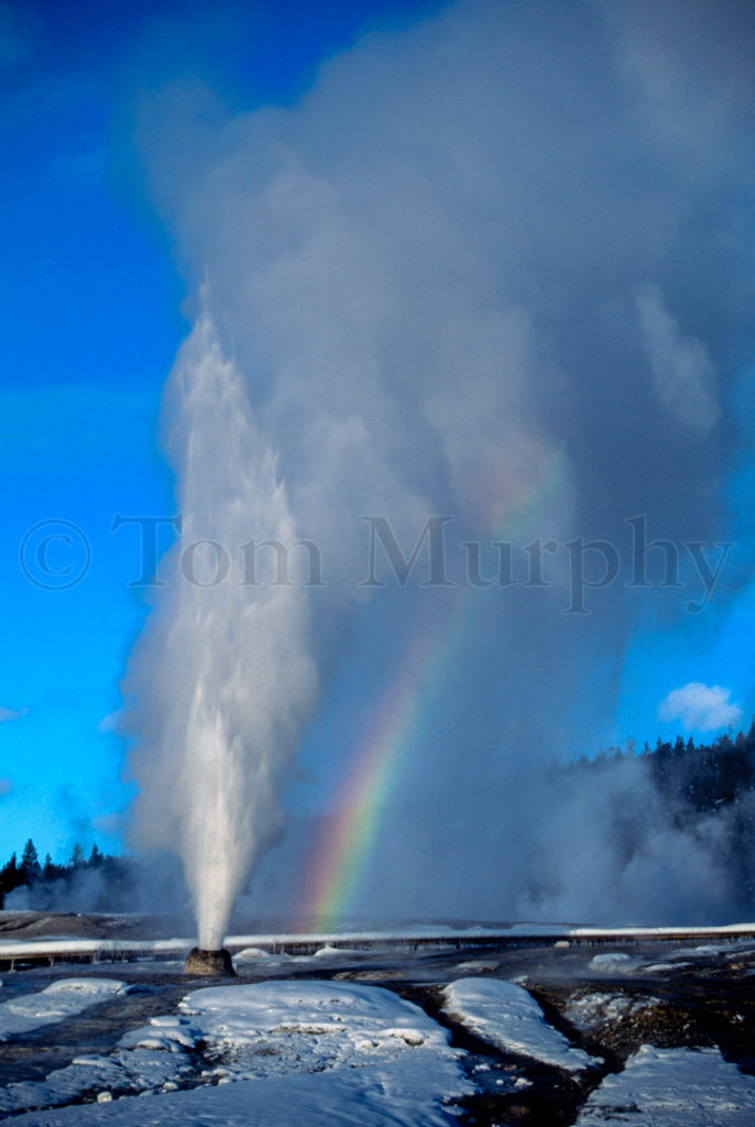 Beehive Geyser Rainbow – Tom Murphy Photography