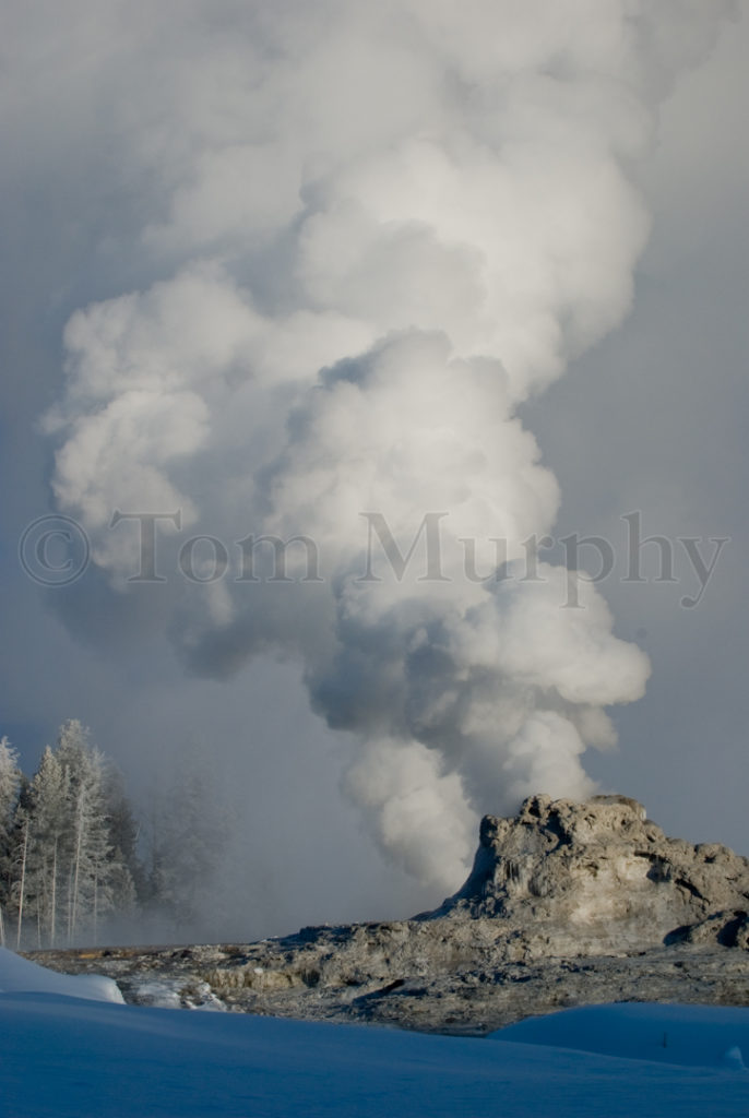 Castle Geyser Steam – Tom Murphy Photography