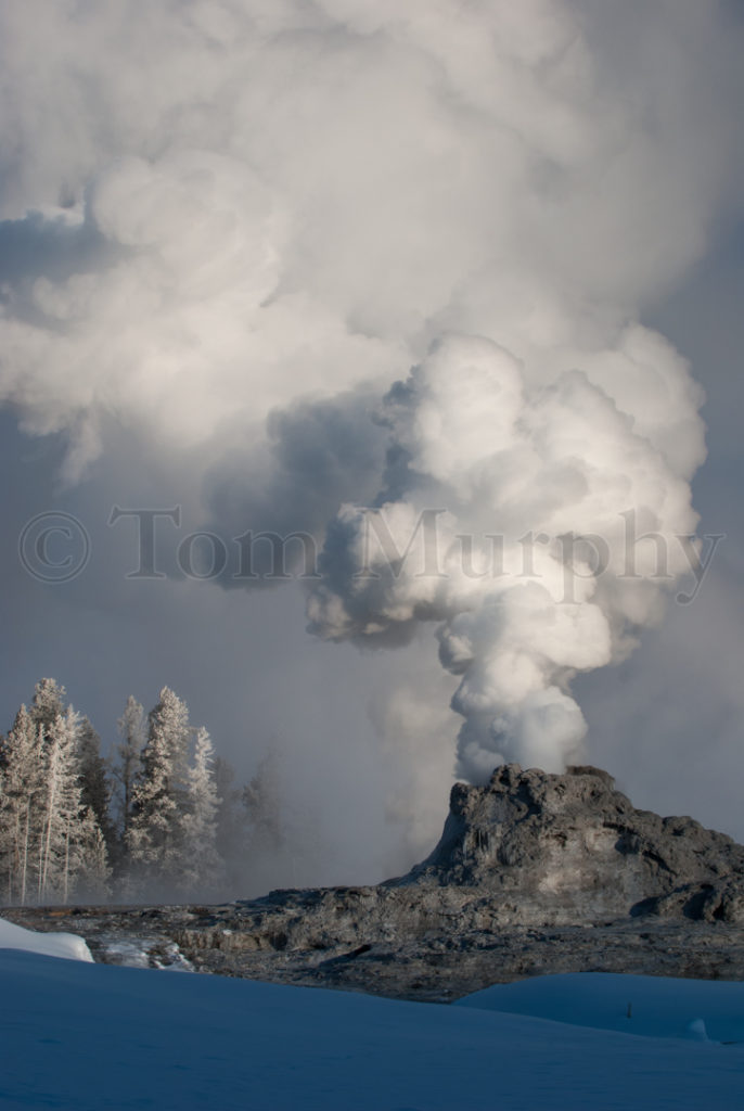 Castle Geyser Steam – Tom Murphy Photography