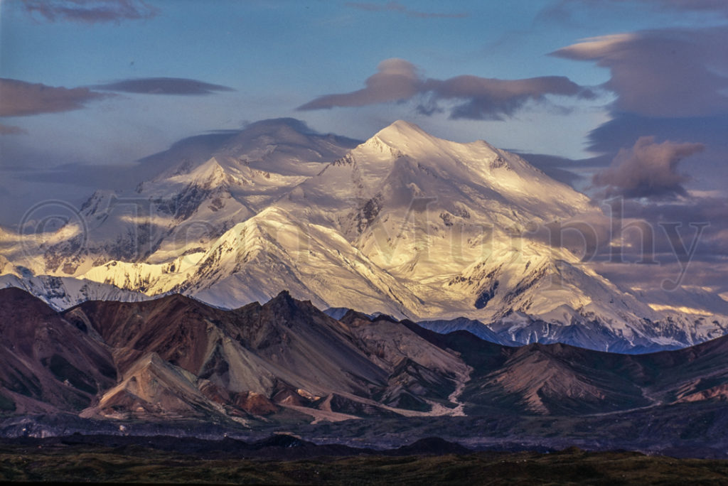 Denali Evening – Tom Murphy Photography