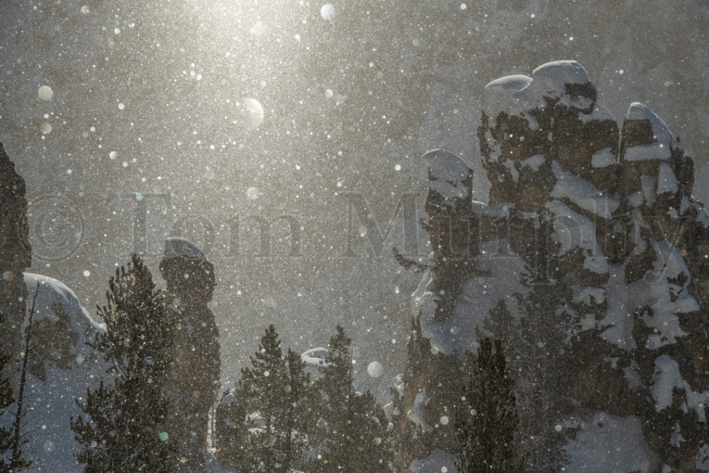 Diamond Dust – Tom Murphy Photography