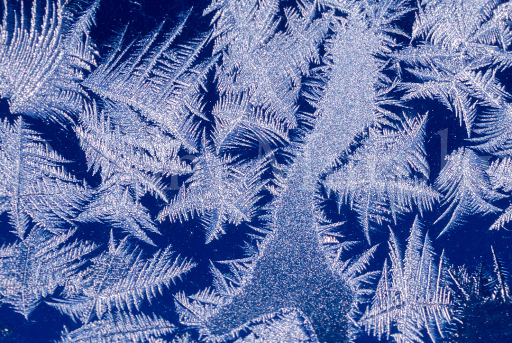 Frost On Window – Tom Murphy Photography