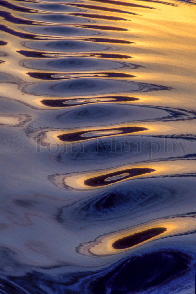 Gold Water Ripples – Tom Murphy Photography