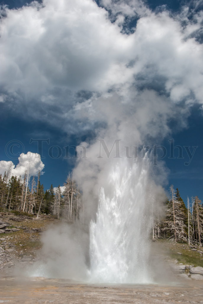 Grand Geyser Upper Geyser Basin – Tom Murphy Photography