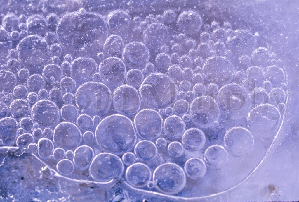 Ice Bubbles – Tom Murphy Photography