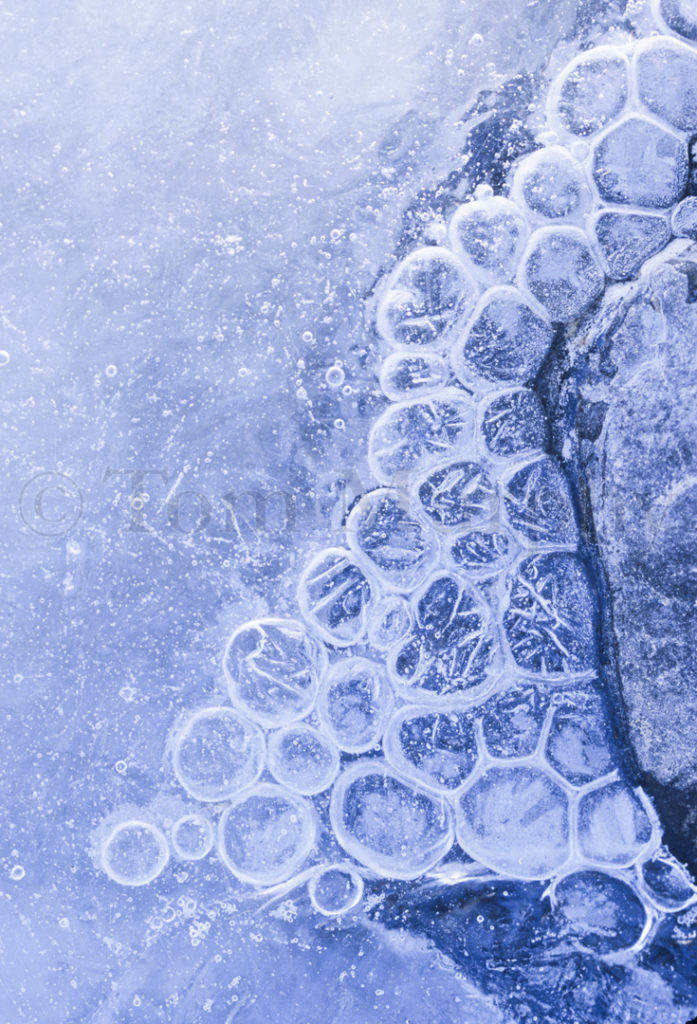 Ice Bubbles – Tom Murphy Photography