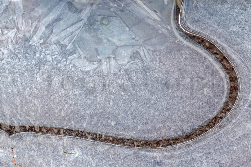 Ice Pane Patterns – Tom Murphy Photography