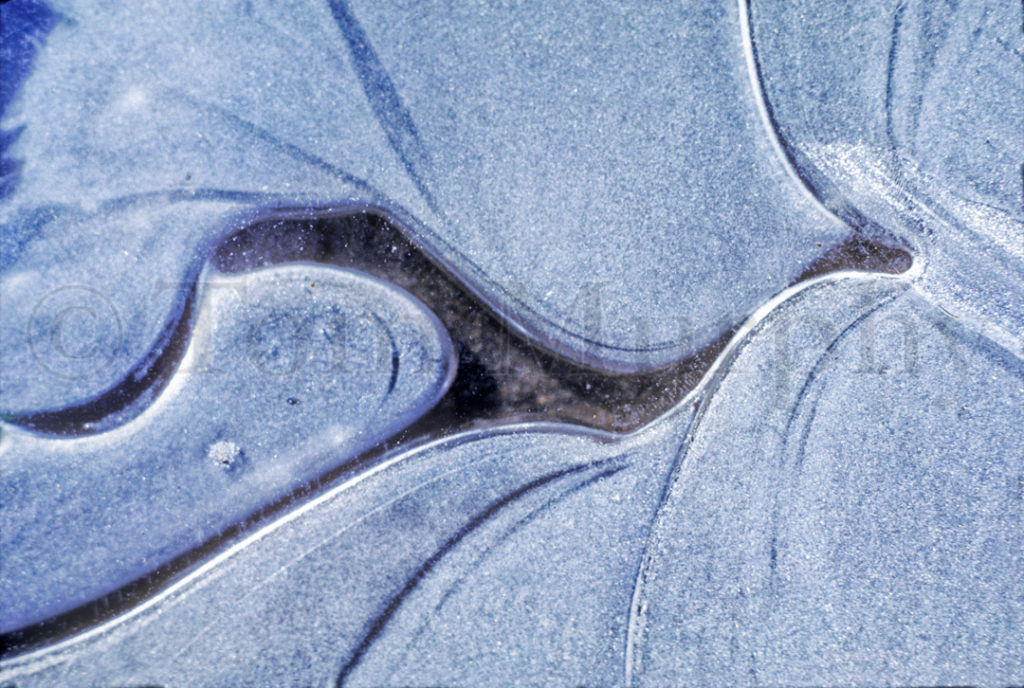 Ice Pane – Tom Murphy Photography