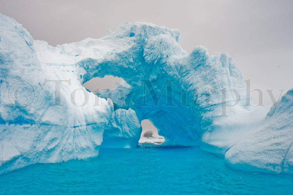 Iceberg Arches Antarctica – Tom Murphy Photography