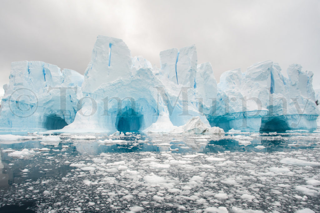 Iceberg Castle Antarctica – Tom Murphy Photography