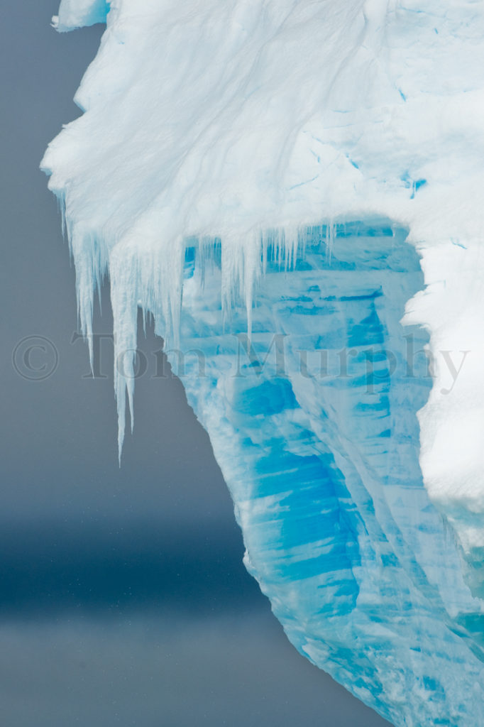 Iceberg Icicles – Tom Murphy Photography