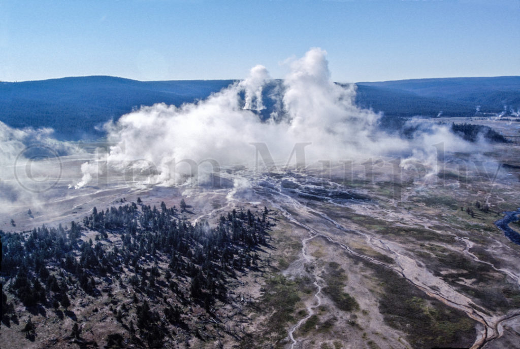 Lower Geyser Basin Steam – Tom Murphy Photography