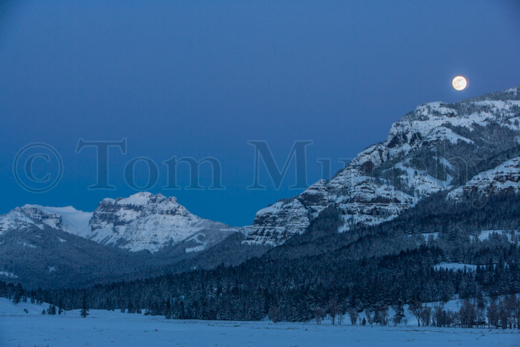 Moonrise Ridgeline Absaroka Range – Tom Murphy Photography