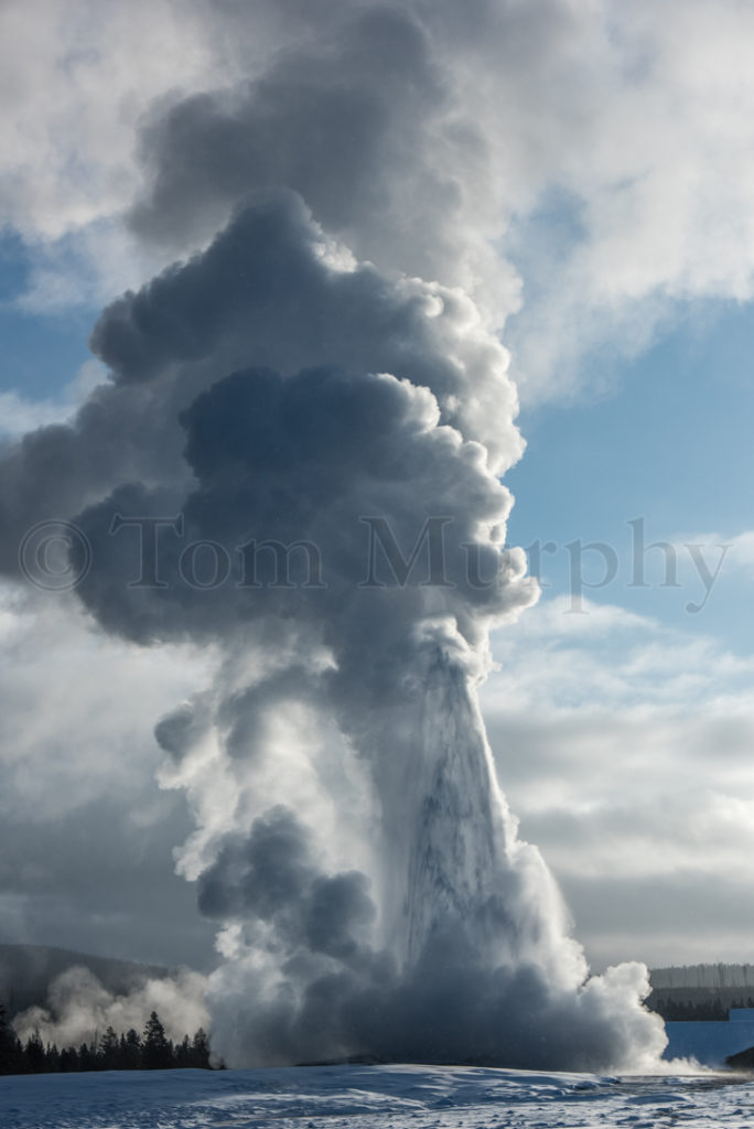 Old Faithful Eruption – Tom Murphy Photography