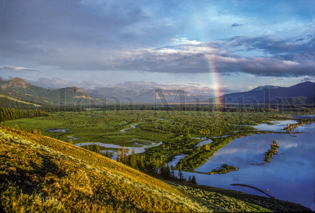 Thorofare Yellowstone Valley Trident – Tom Murphy Photography