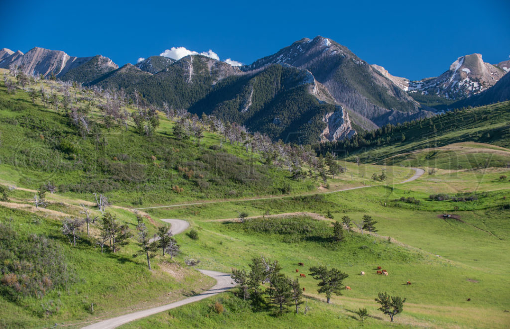 Shell Mtn Absarokas – Tom Murphy Photography