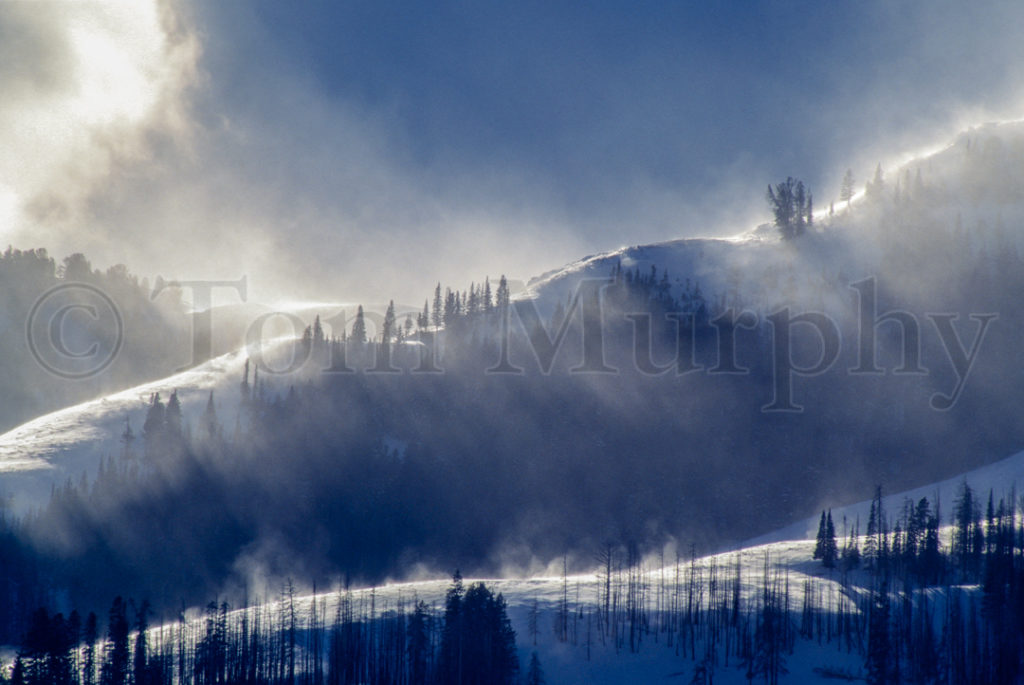Specimen Ridge Spindrift – Tom Murphy Photography