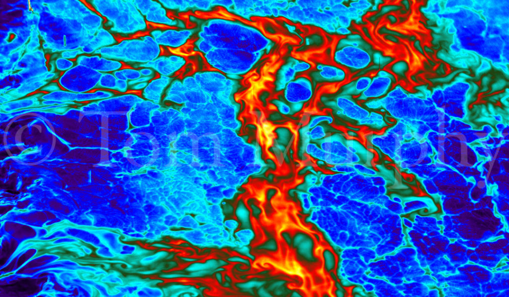 Thermal Image Pond Surface – Tom Murphy Photography
