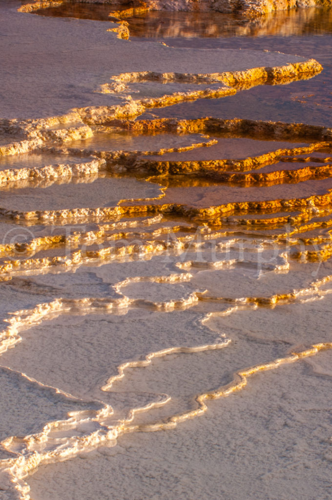 Travertine Bacteria Channels – Tom Murphy Photography