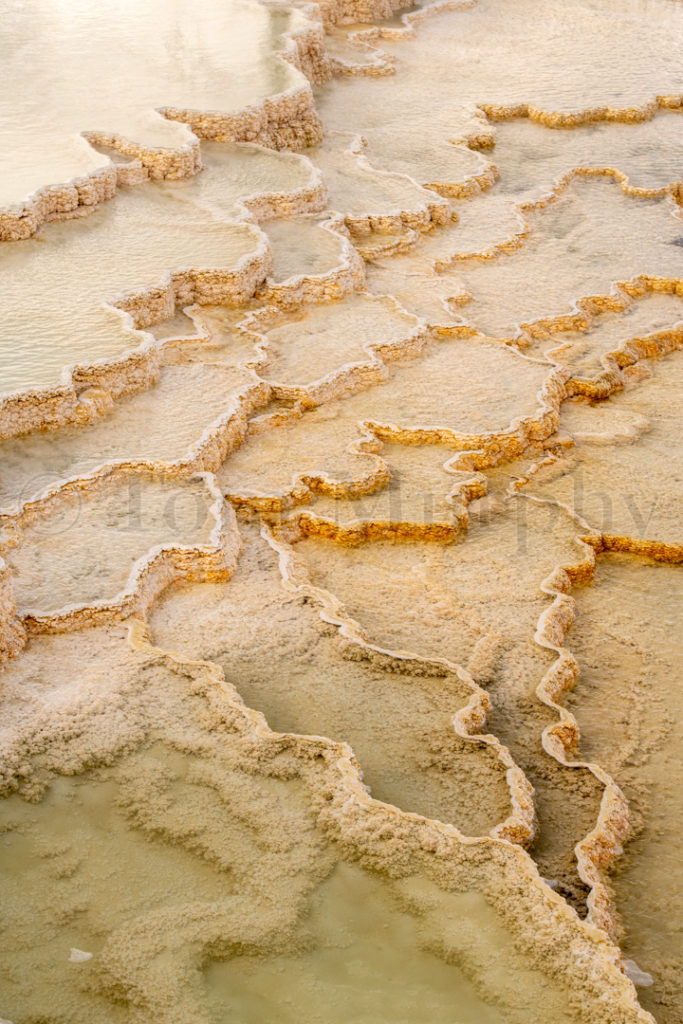 Abstracts – Tom Murphy Photography