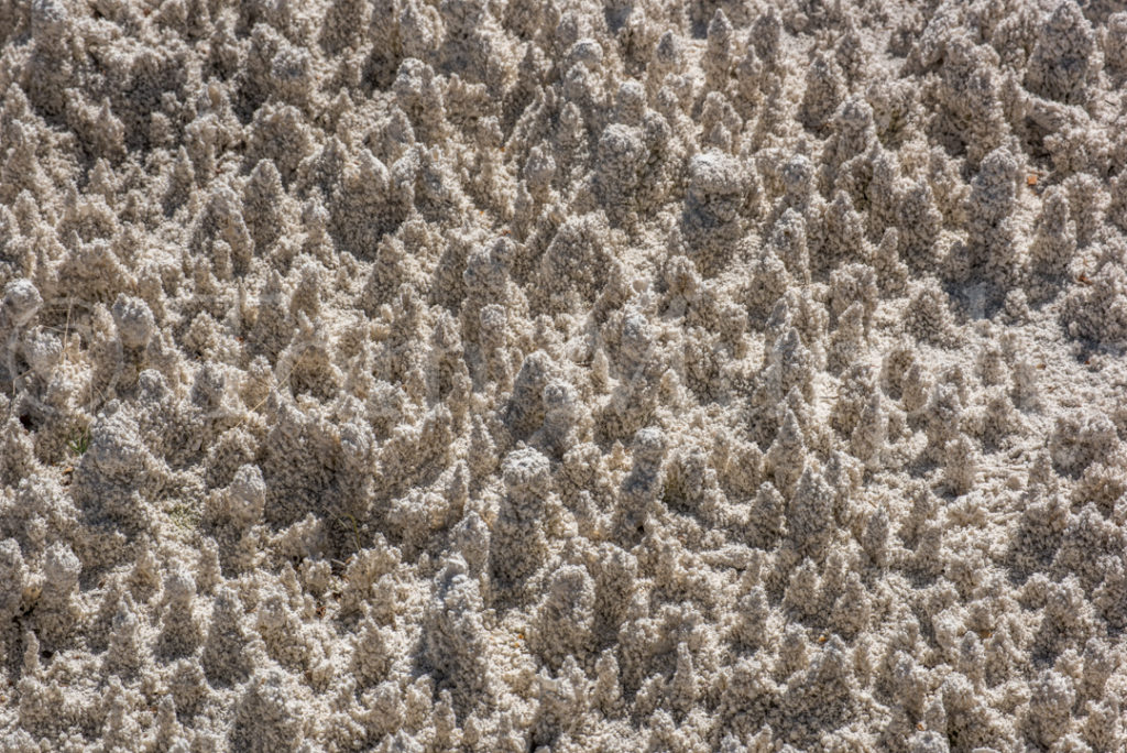 Travertine Spike Formations – Tom Murphy Photography