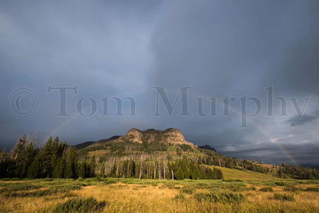 Trident Rainbow – Tom Murphy Photography