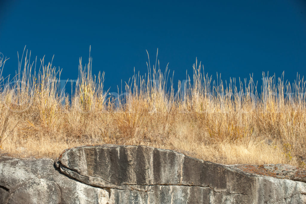 Wild Rye Grasses Sky Rocks – Tom Murphy Photography