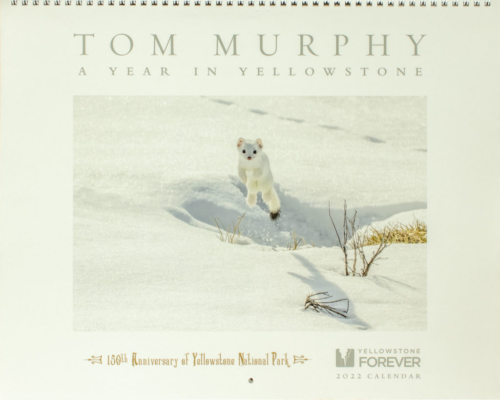 Merchandise – Tom Murphy Photography