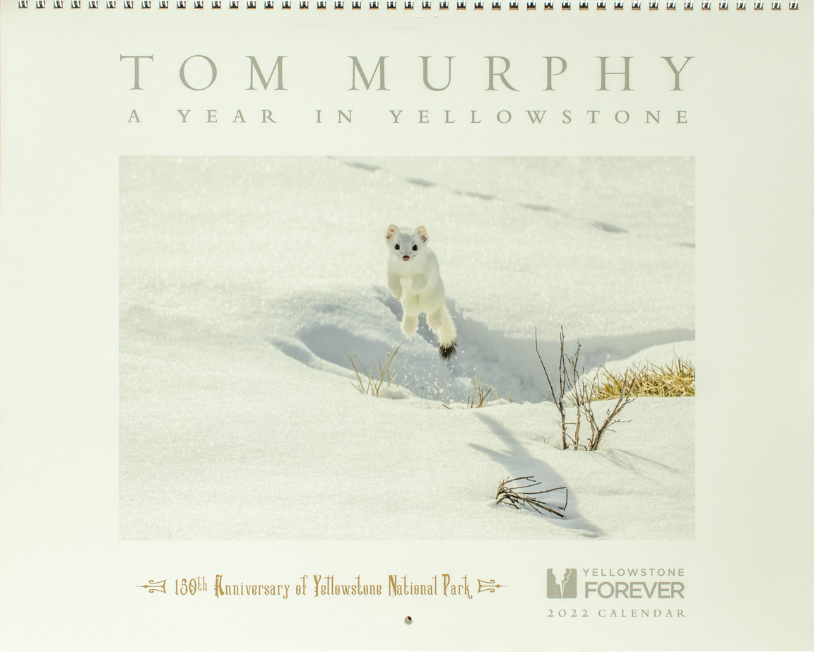 Merchandise – Tom Murphy Photography