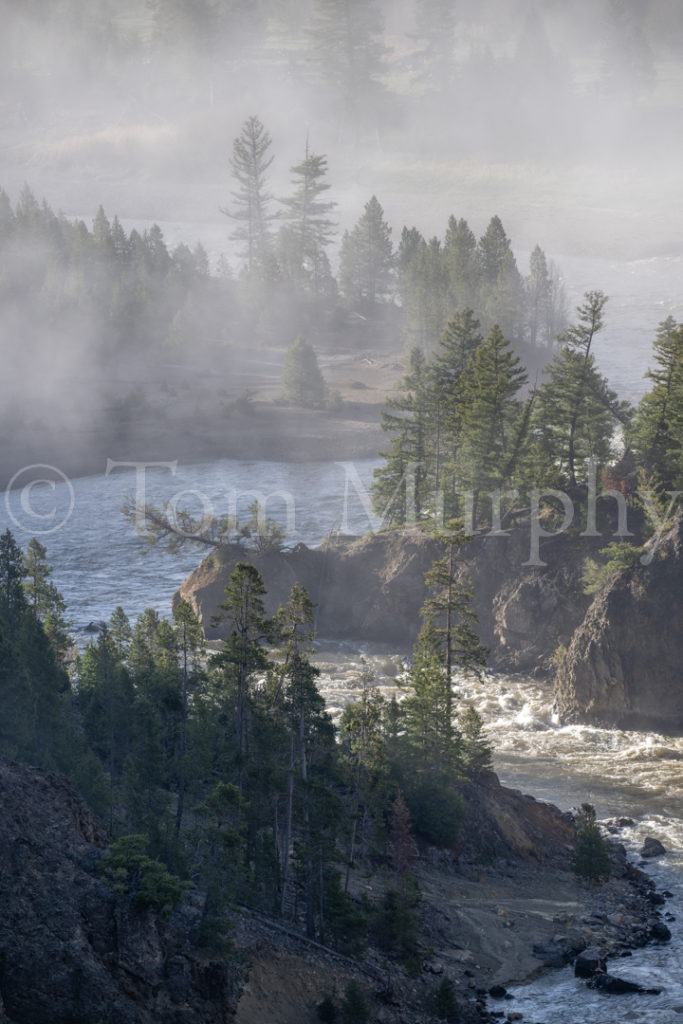 Grand Canyon of Yellowstone – Tom Murphy Photography