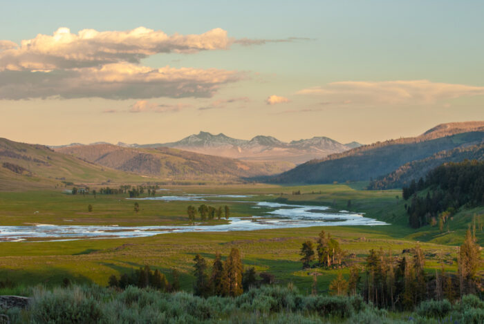 Summer – Tom Murphy Photography
